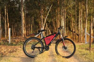 Are Electric Bikes Allowed in National Forests? Everything You Need to Know